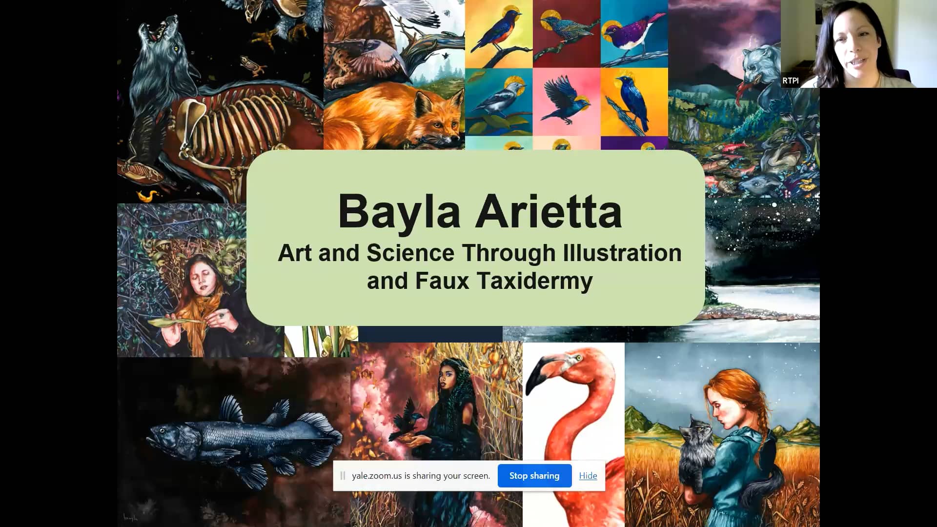 Bayla Arietta: Art and Science through Illustration and Faux Taxidermy ...