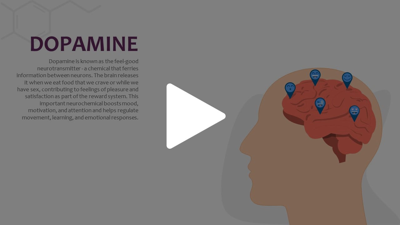 Dopamine Animated Presentation - SketchBubble on Vimeo