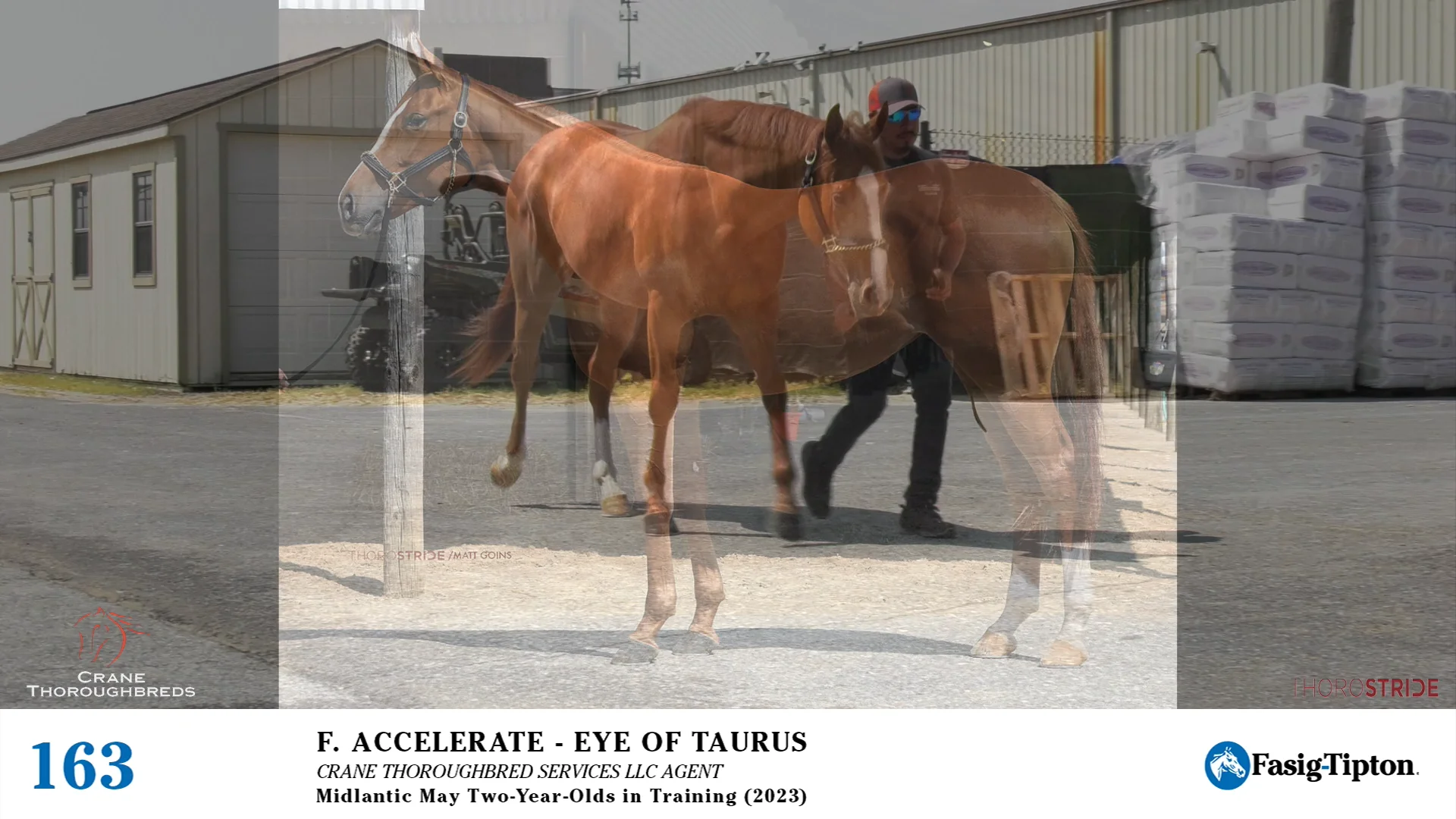 FTMMAY23_163_Eye of Taurus 21 on Vimeo