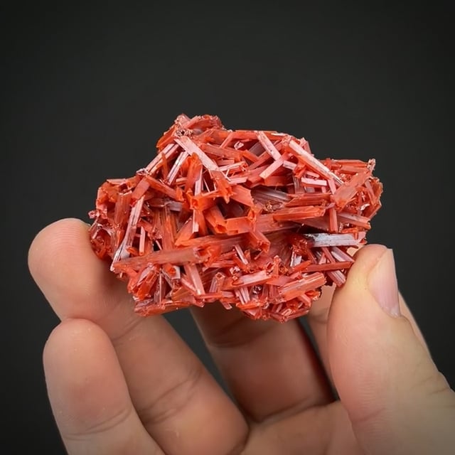 Crocoite | Dundas mineral field, Zeehan dist., Tasmania, Australia