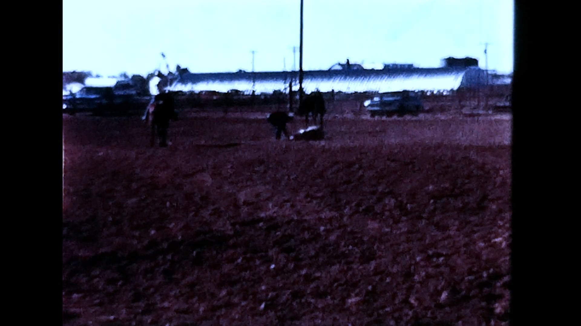 RESTORED CALF ROPING COMPETITION FILM A 1977 SUPER 8MM PAUL BUCK PARKER ...