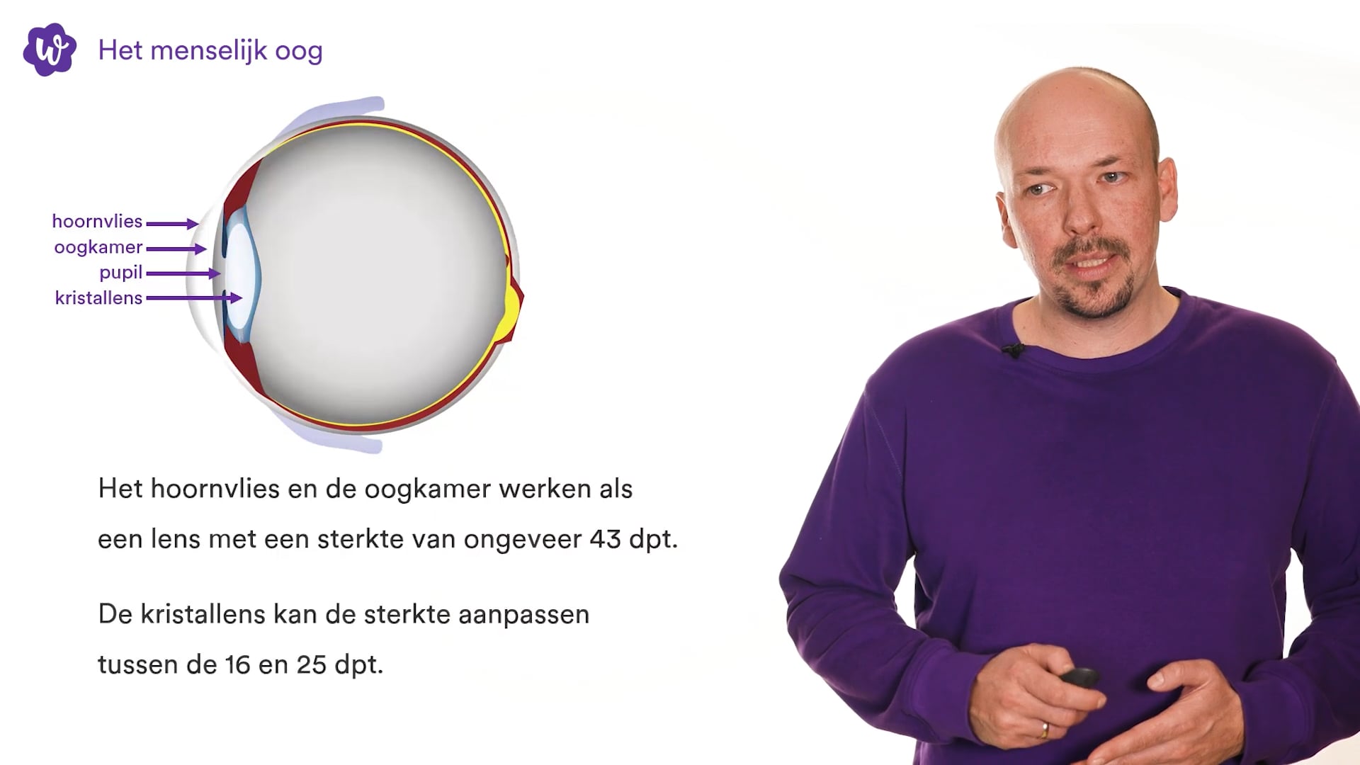 Het menselijk oog oefenen | StudyGo