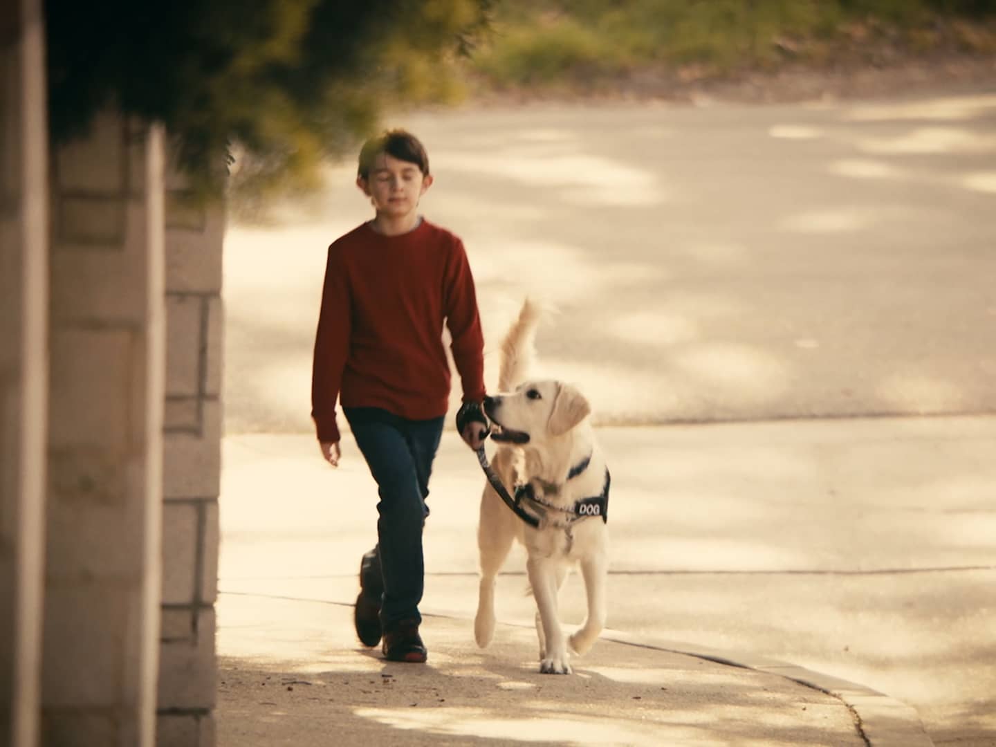 Thunder "Tyson True Chews" - Dir. Nick Stachurski on Vimeo