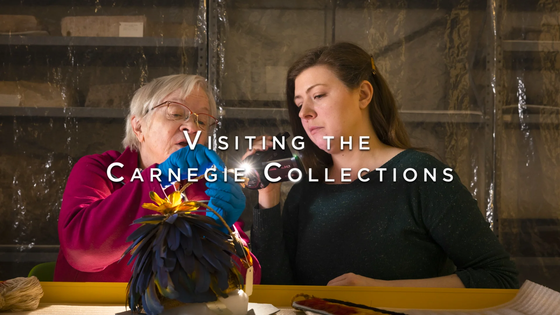 Visiting the Carnegie Collections: Anthropology on Vimeo