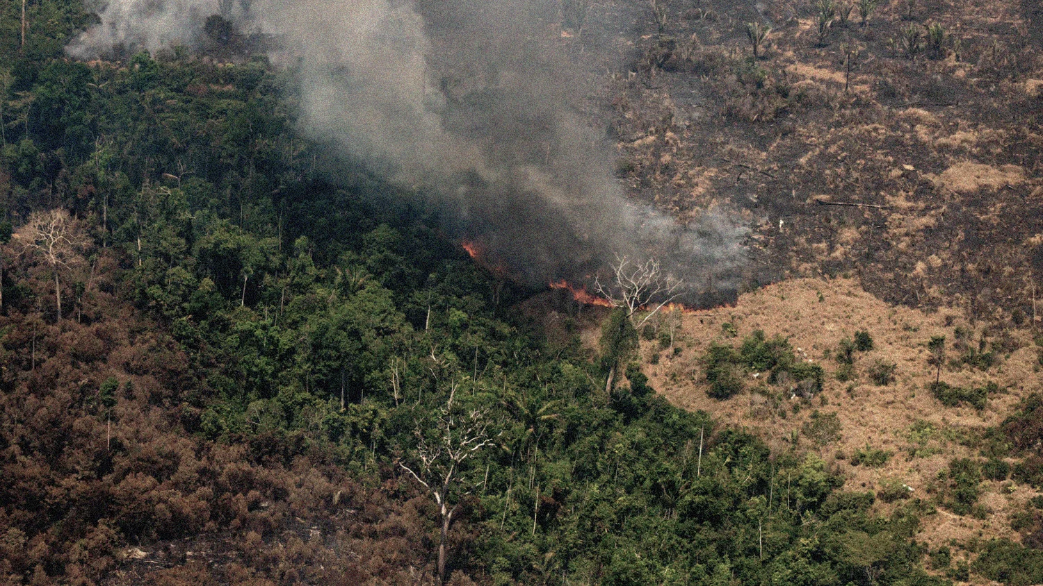 Redraw The Future on Vimeo