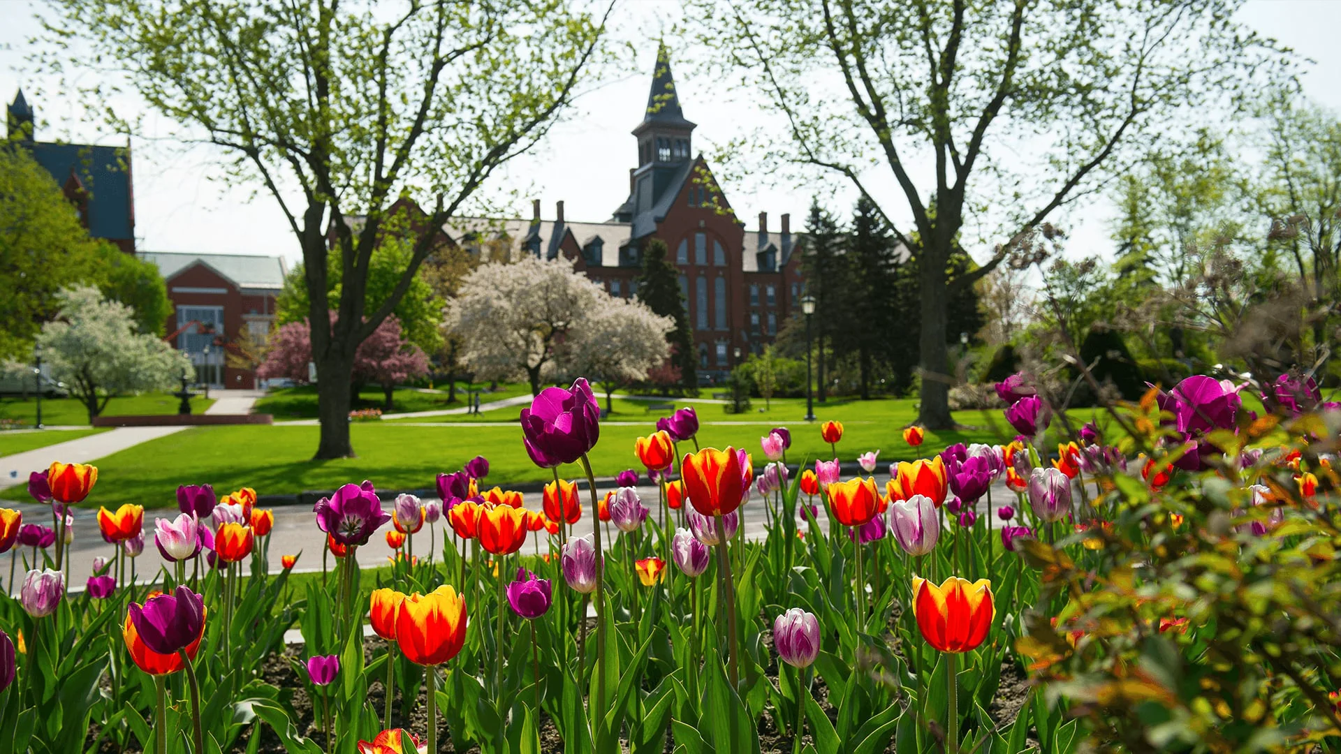 University of Vermont Commencement Main Ceremony on Vimeo