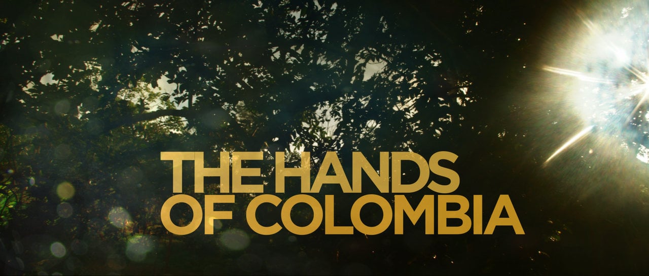 THE HANDS OF COLOMBIA | Videos & Movies on Vimeo