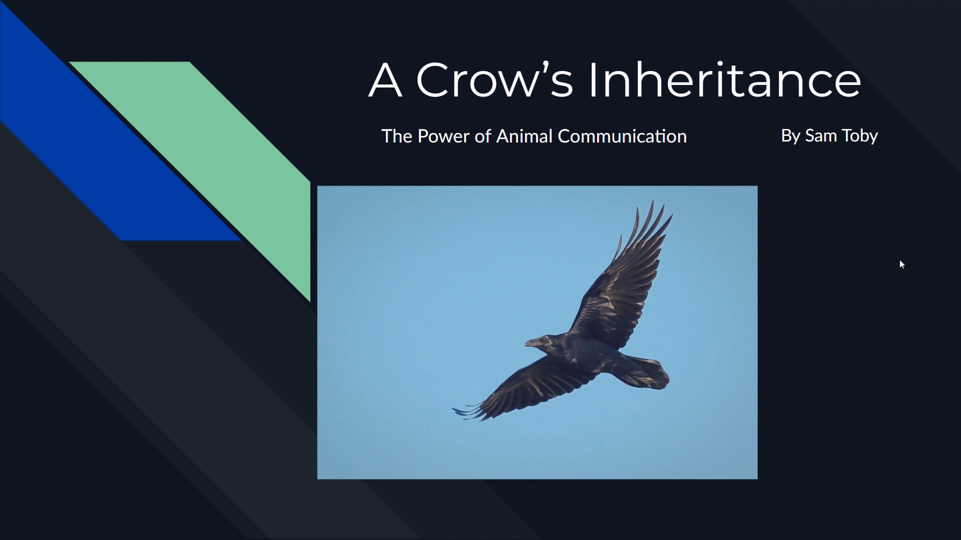 Corvid Intelligence Presentation on Vimeo