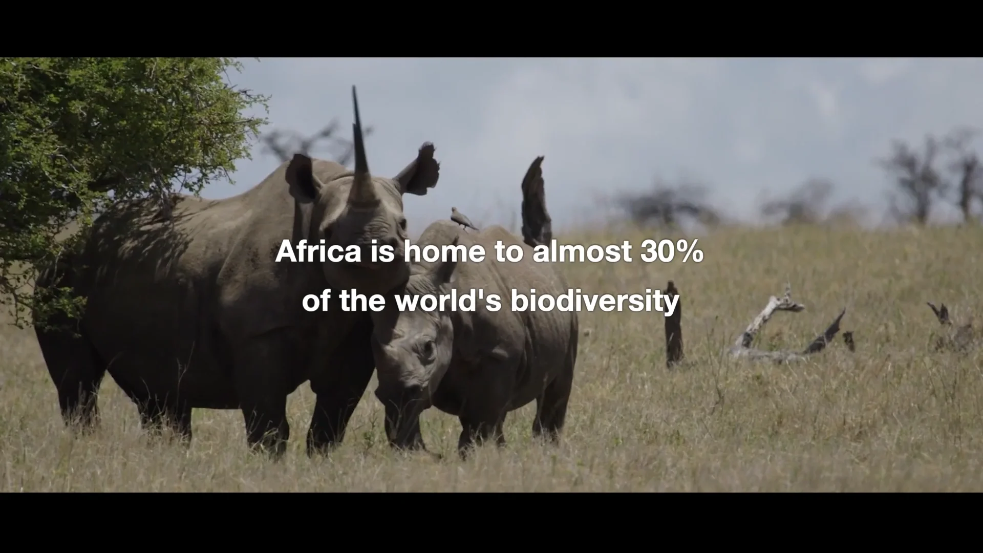 THE WILDLIFE RANGER CHALLENGE RETURNS FOR 2023 on Vimeo