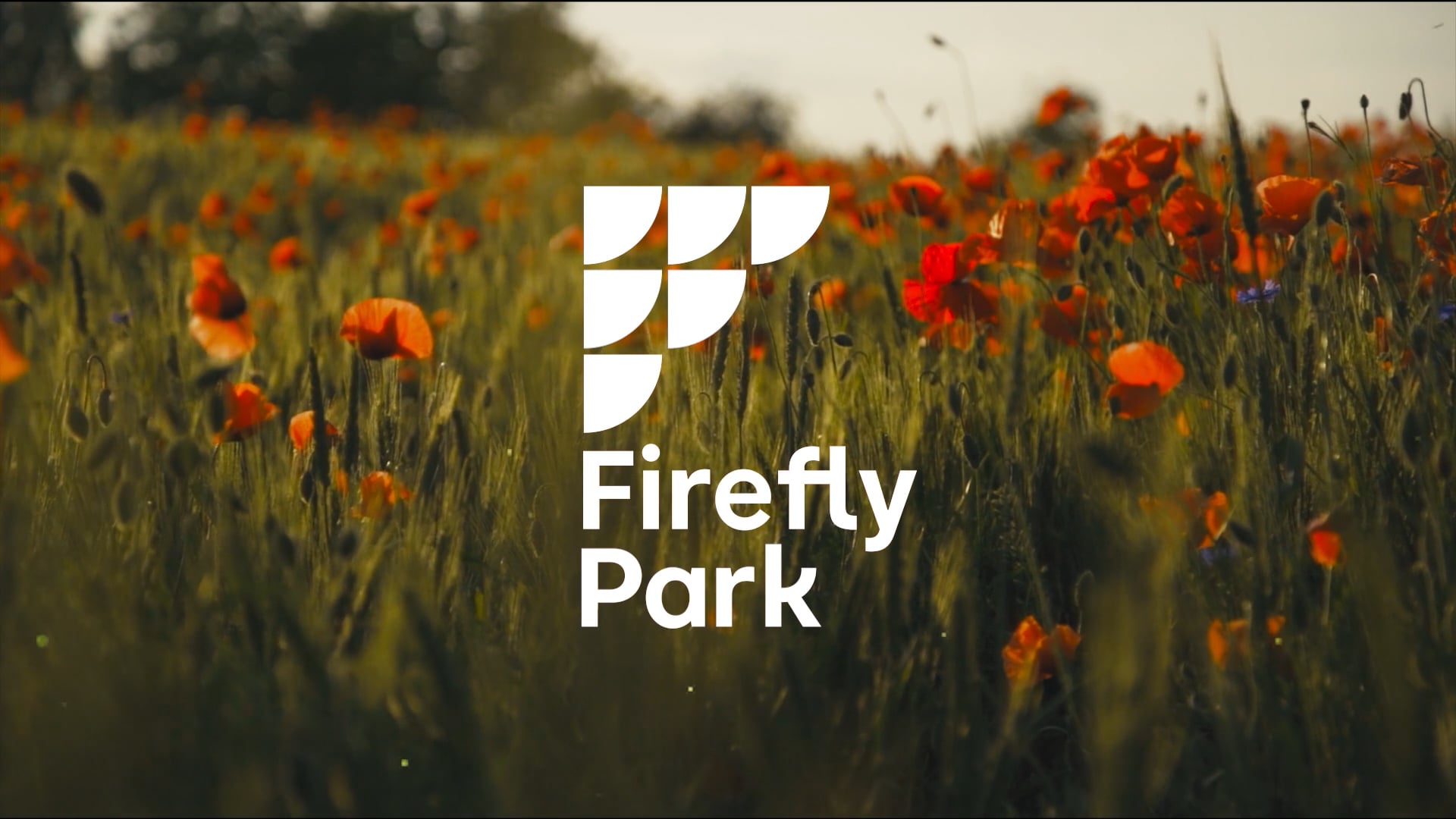 Firefly Park - Frisco, TX on Vimeo