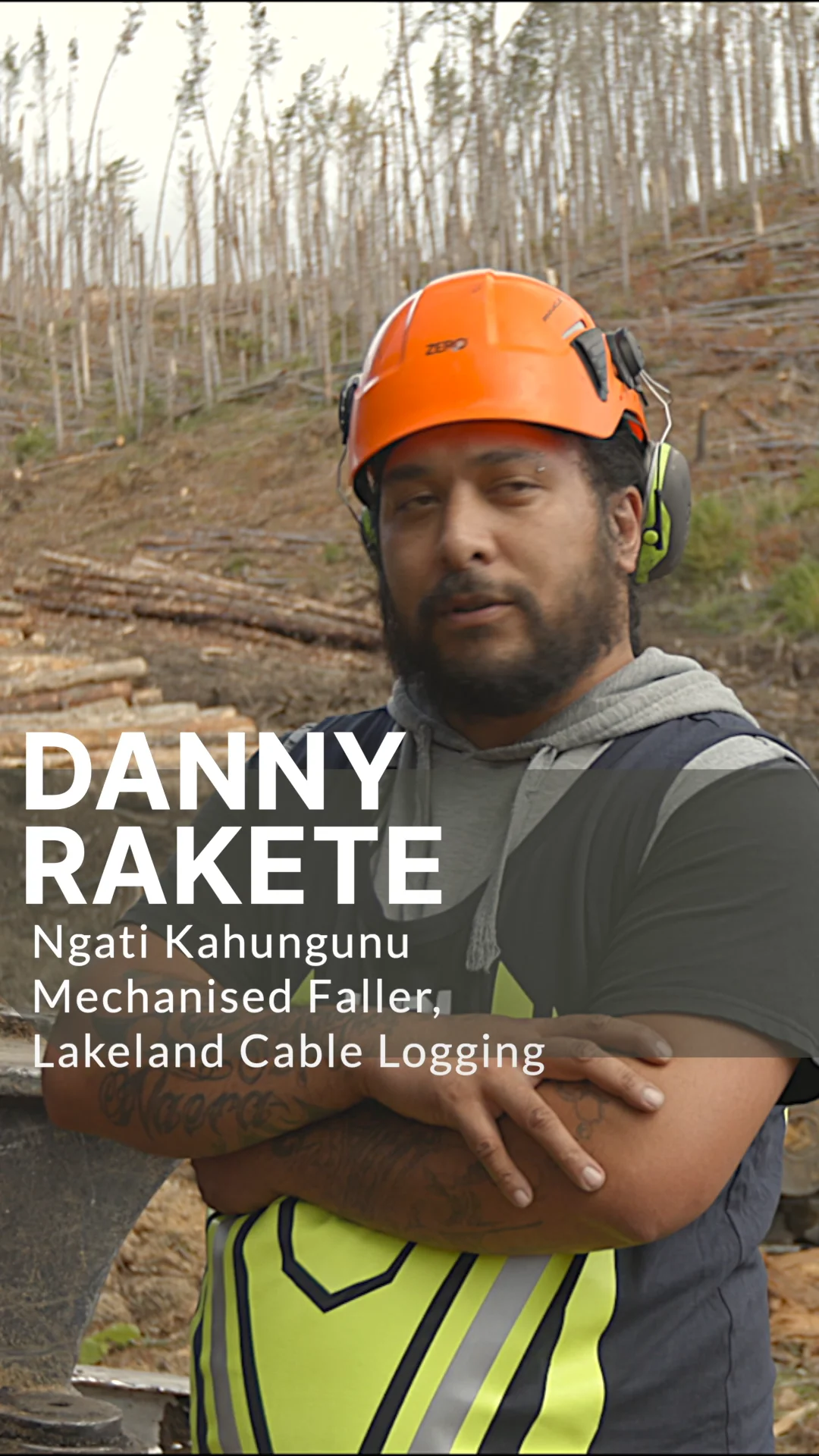 Harvesting Windthrow for First Time