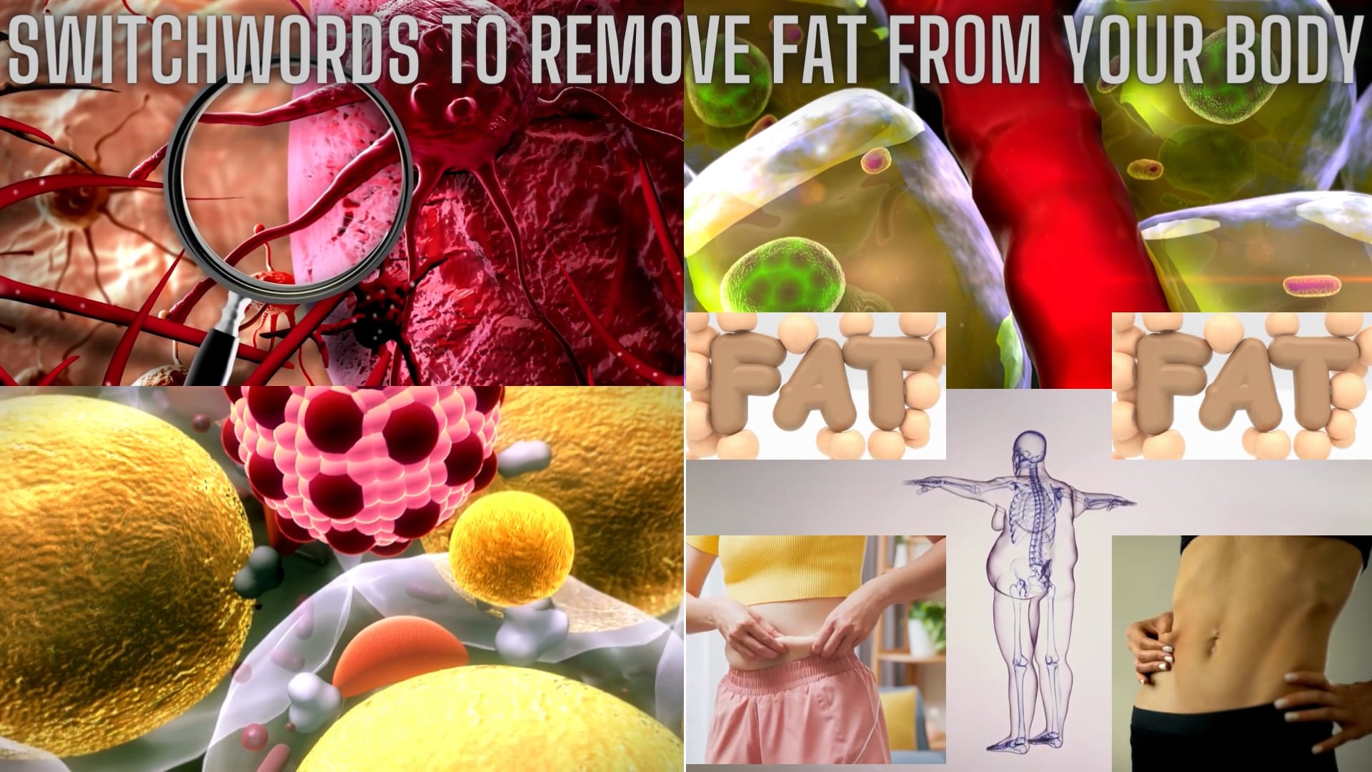 USE THESE POWERFUL SWITCHWORDS EVERYDAY TO REMOVE FAT FROM YOUR BODY (5 ...