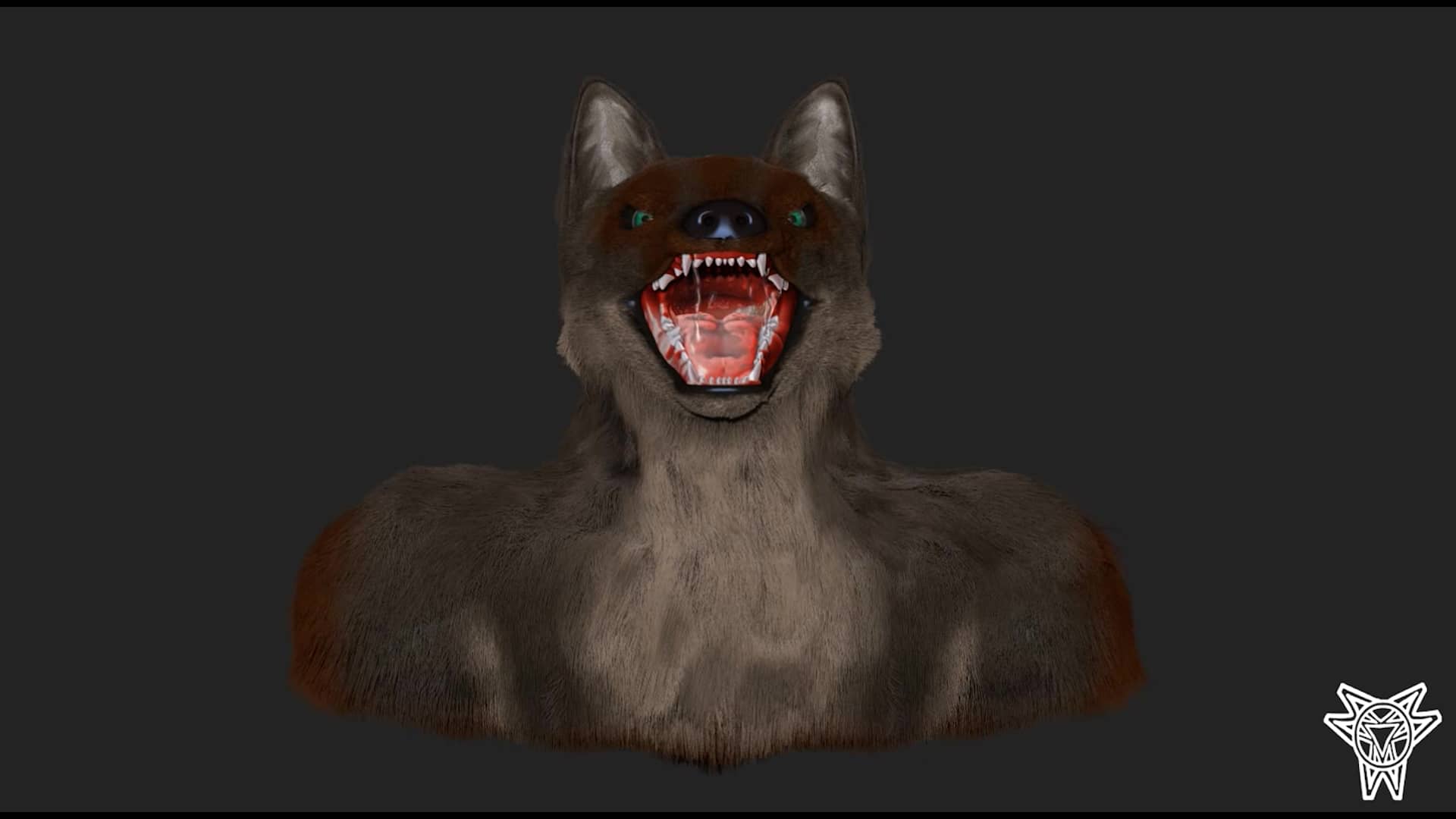 Fox maw and fur test on Vimeo