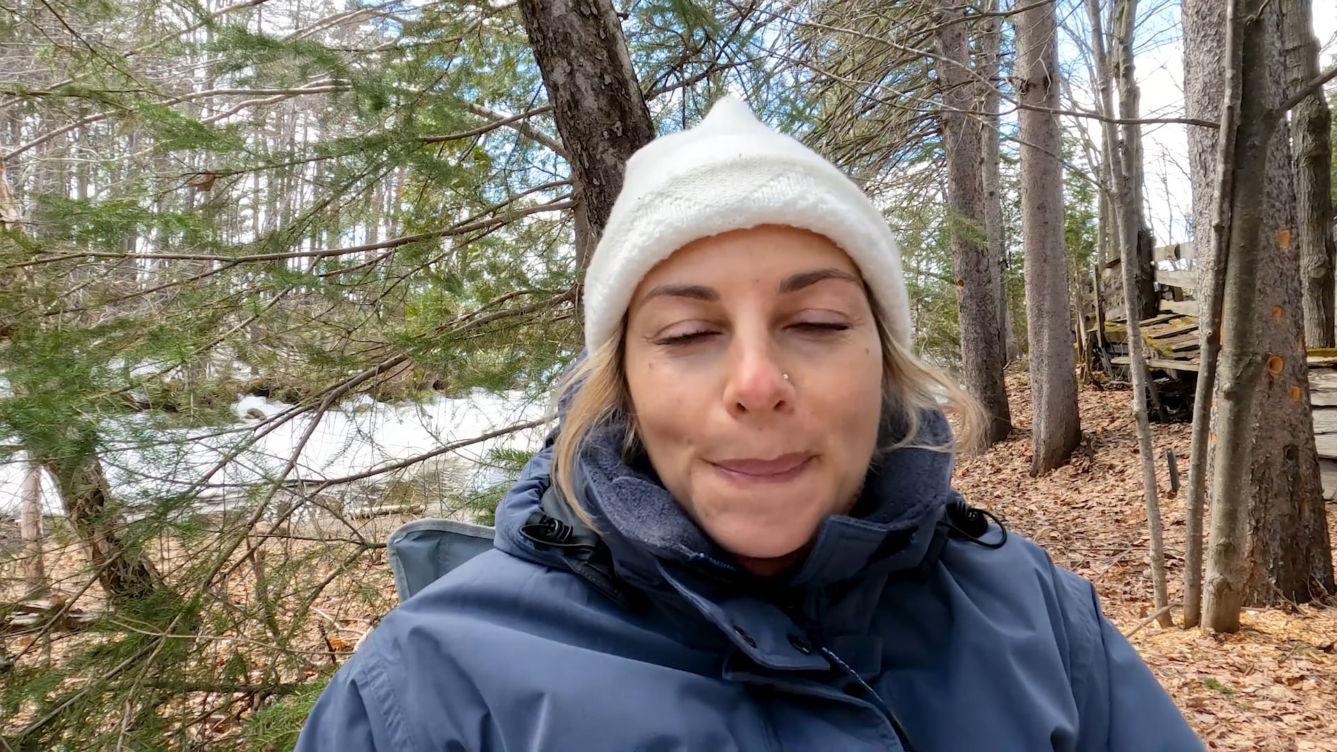 Enfant Nature meet the bear cubs on Vimeo