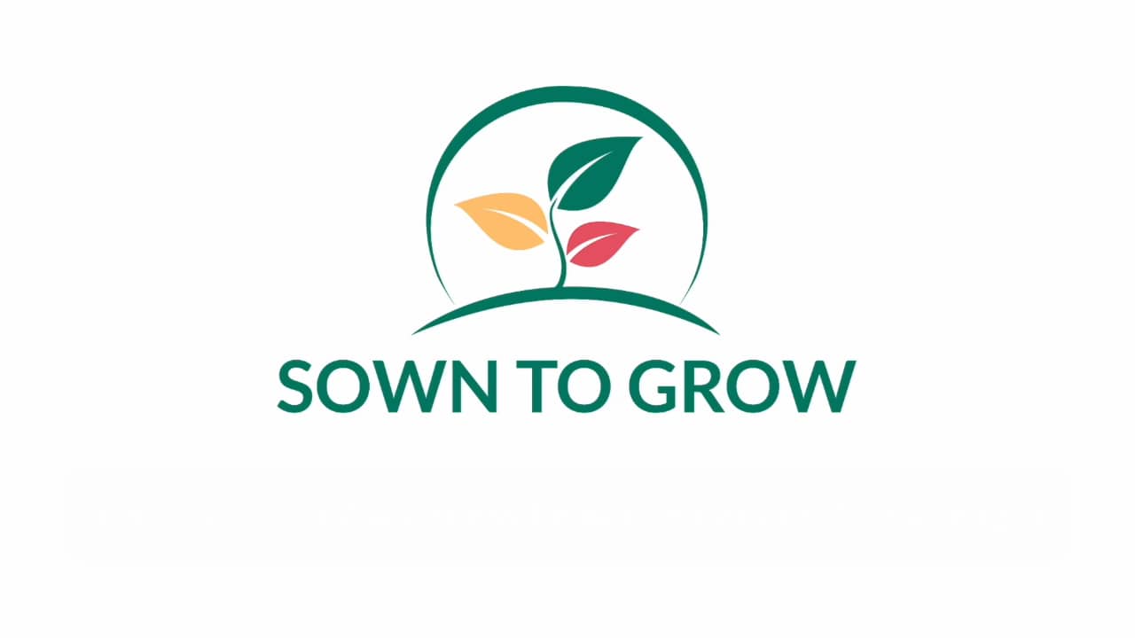 Sown To Grow - 3rd Grade SEL Lesson - Self Awareness Emotions ...