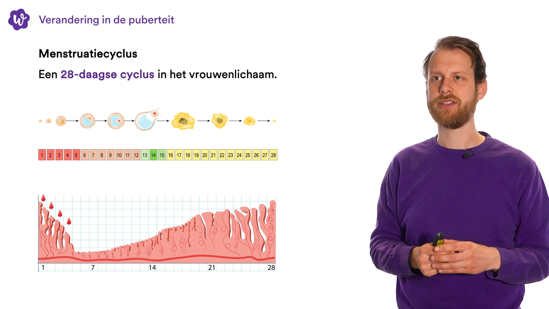 Oefen met Voortplanting en seksualiteit uit Biologie voor jou / bvj – 3 vmbo-t – 8 | StudyGo