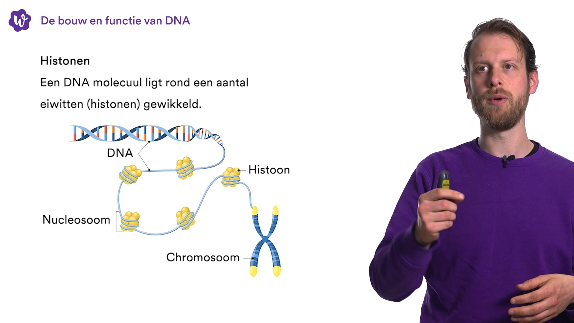 De bouw en functie van DNA oefenen | StudyGo