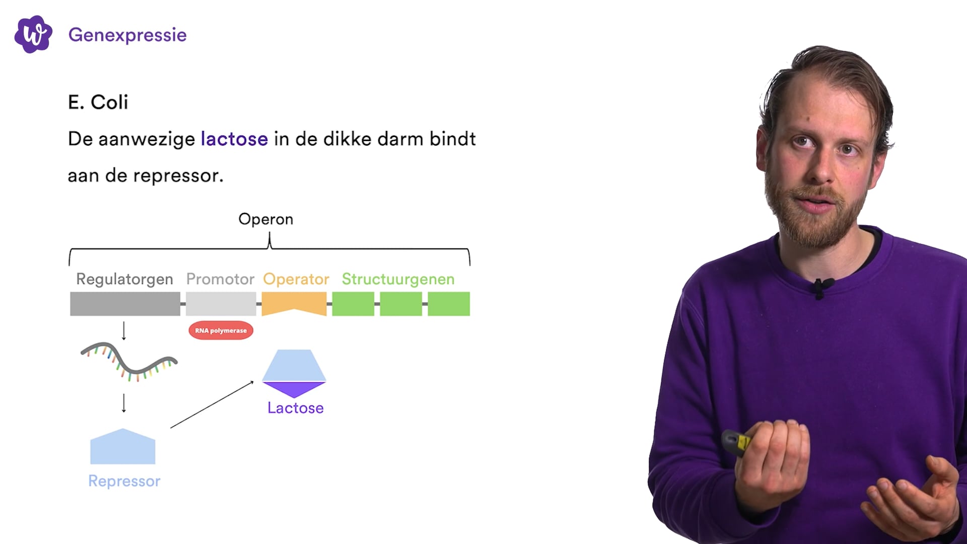 Genexpressie oefenen | StudyGo