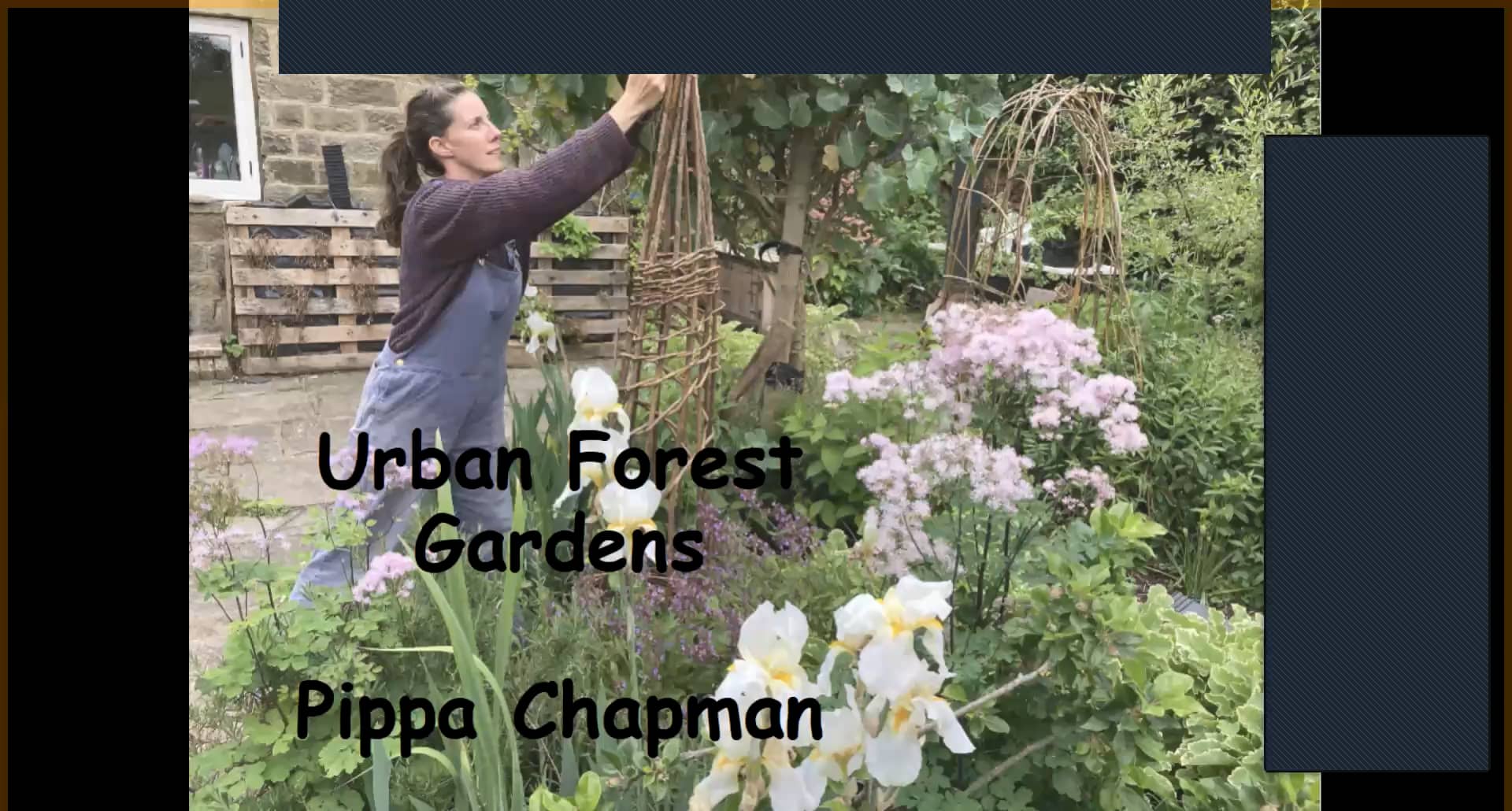 Pippa Chapman's presentation on Vimeo