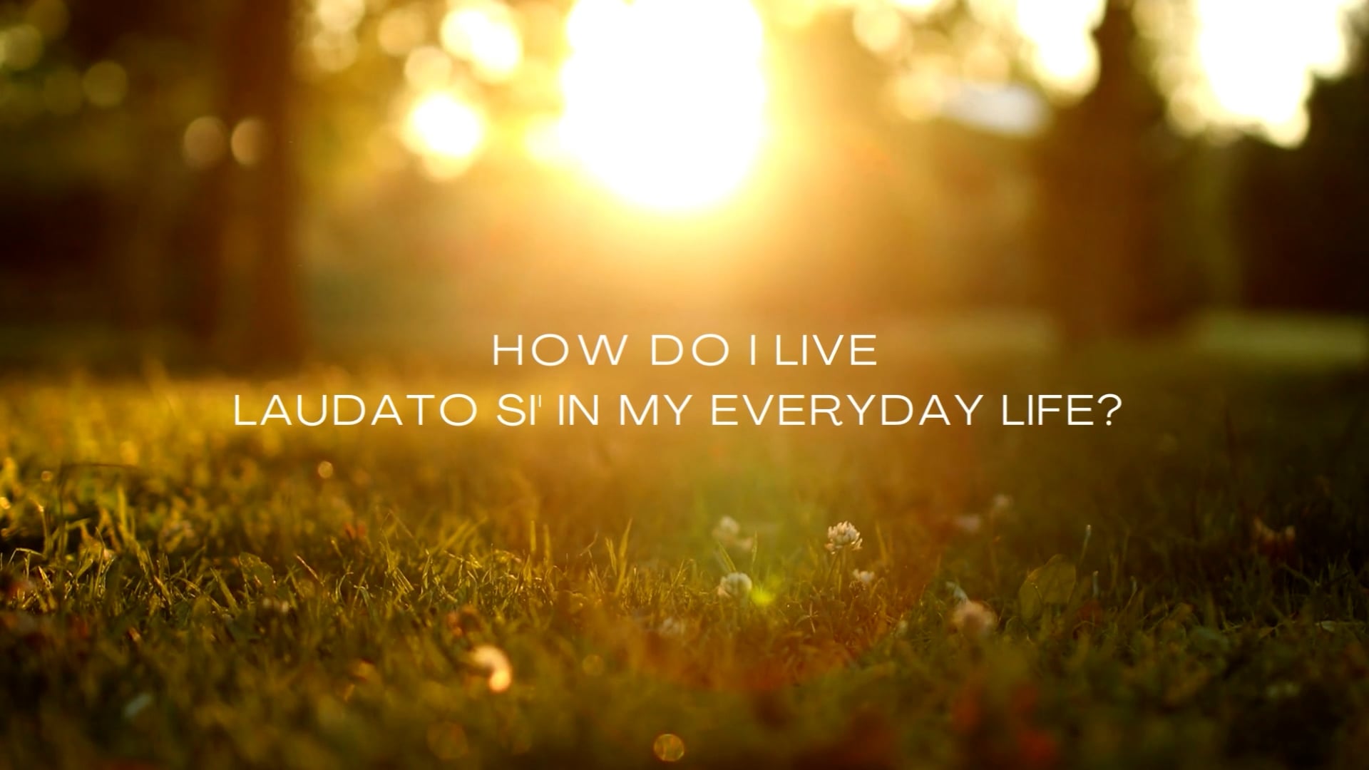 Laudato Si Week 2023 - S Sharon Kanis on Vimeo