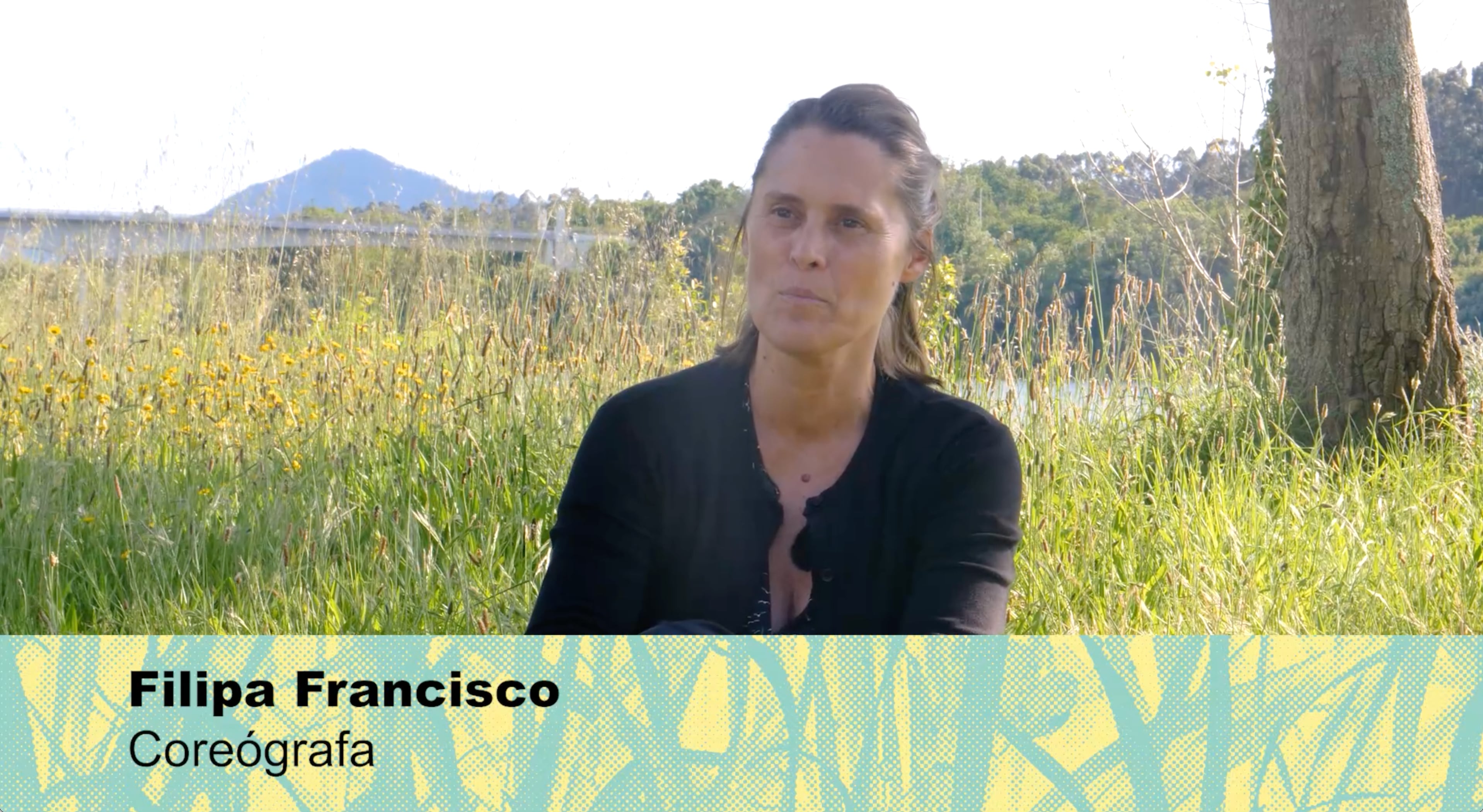 DE VOLTA ÀS PLANTAS [conversa com Filipa Francisco] on Vimeo