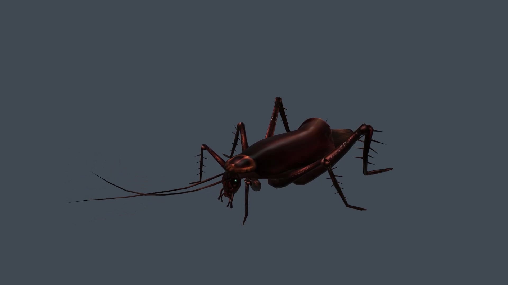 Animated Cockroach 3D Model on Vimeo