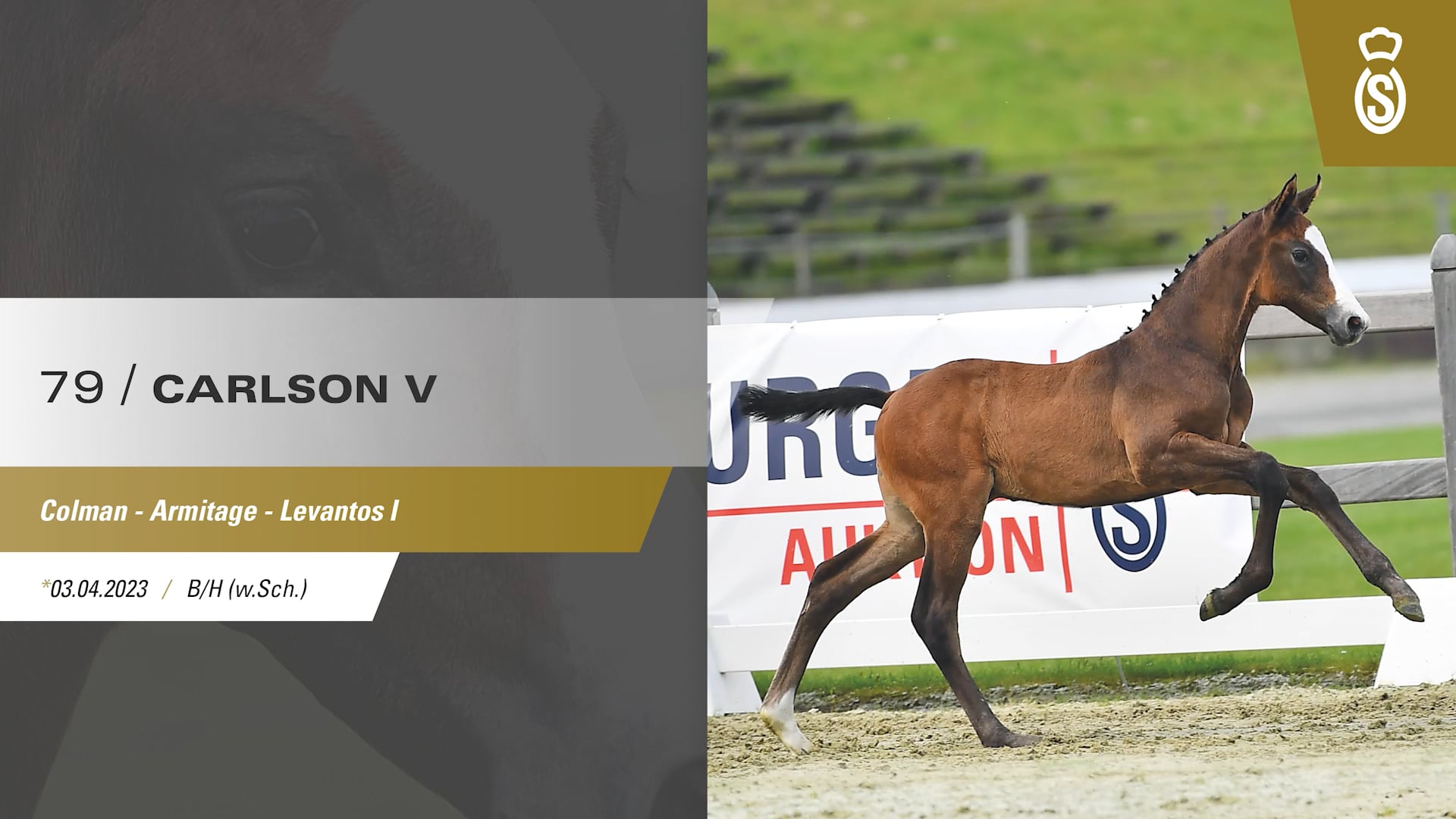 79 Carlson V - 9. OSE 2023 on Vimeo