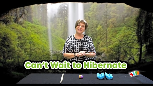 Can’t Wait to Hibernate | MusicplayOnline