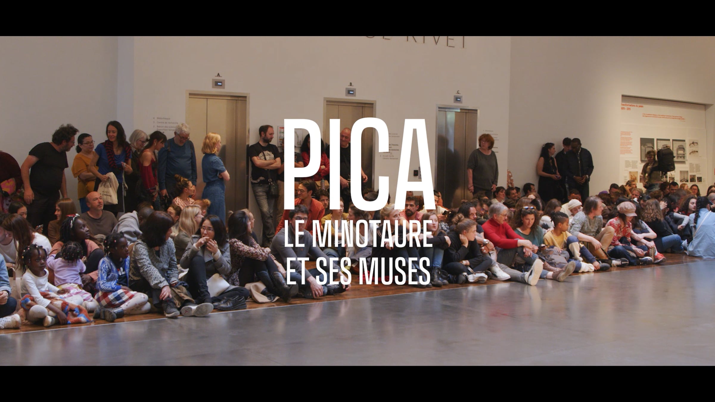 PICA, LE MINOTAURE ET SES MUSES - MUSEE DE L'HOMME