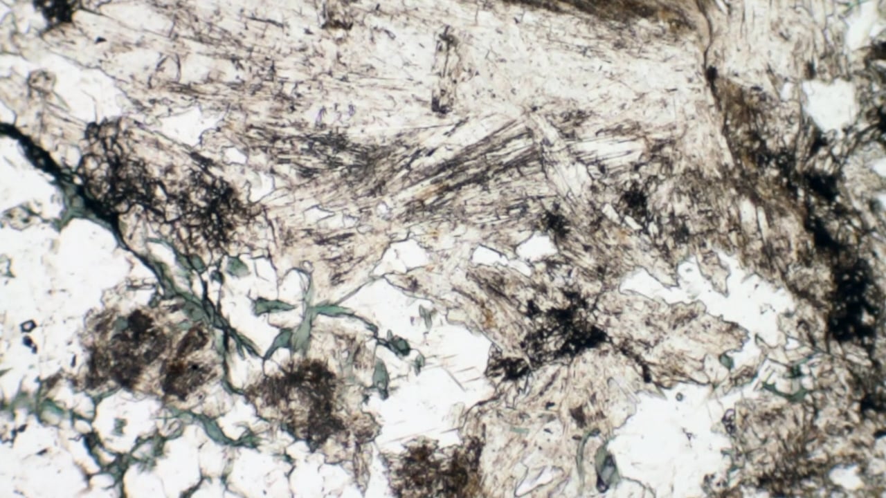 pectolite in thin section FKM-397 PPL on Vimeo