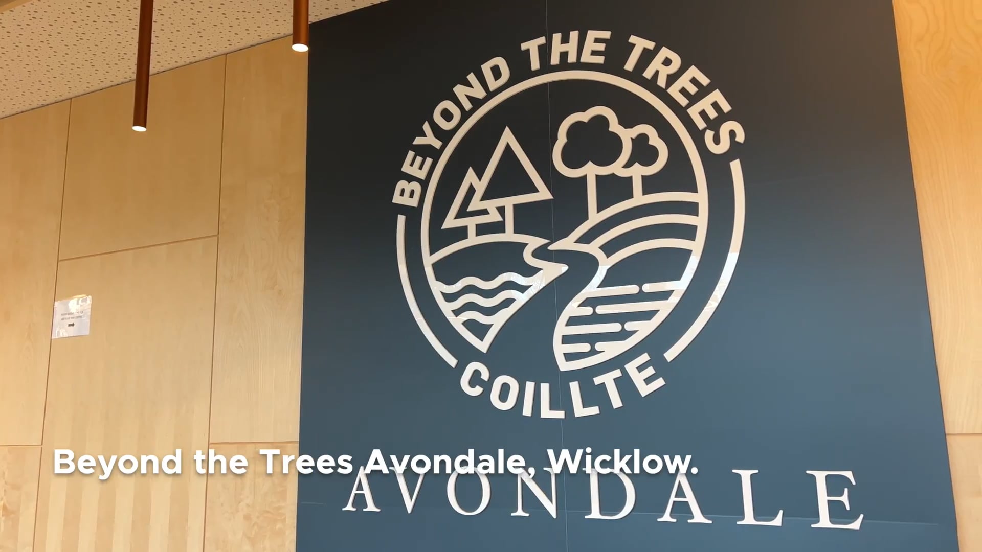 Beyond the Trees Avondale, Wicklow - 2023 on Vimeo