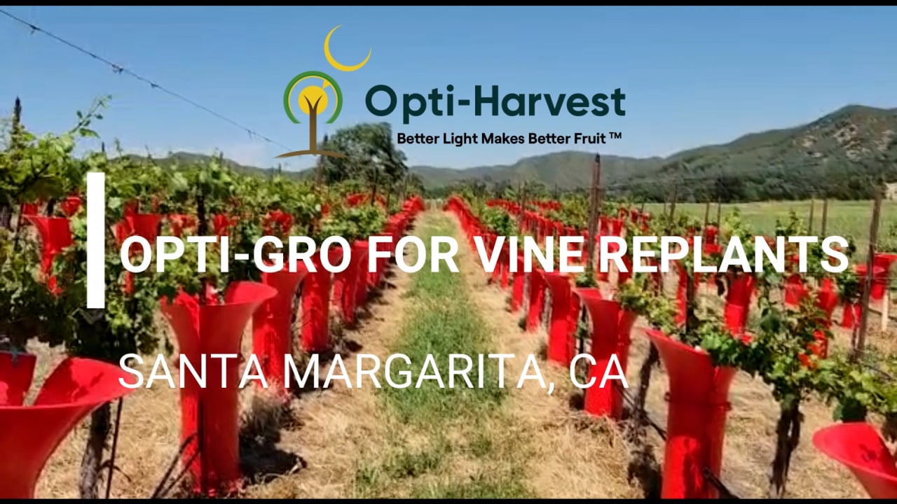 Opti-Gro - Vine Replants in Santa Margarita on Vimeo