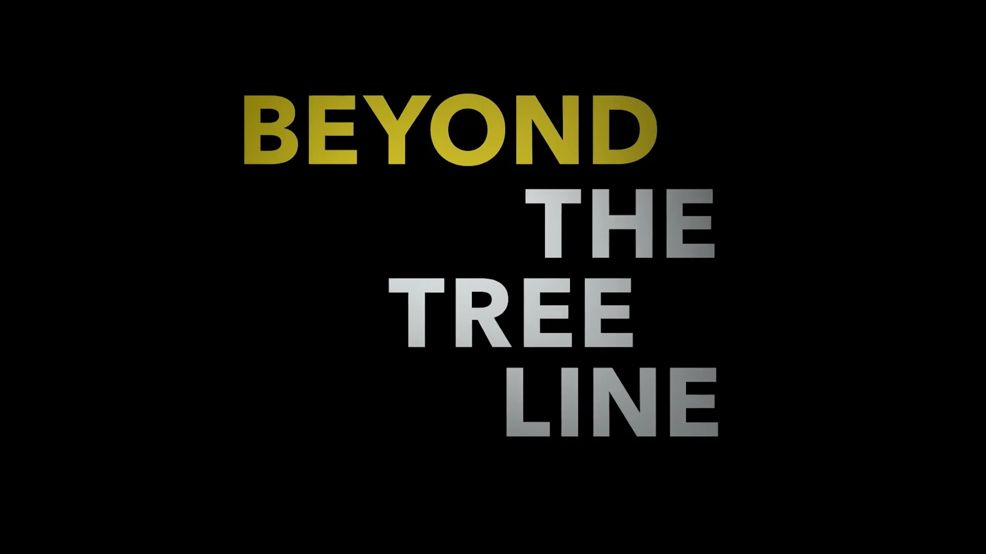 Beyond the Tree Line - Trailer on Vimeo