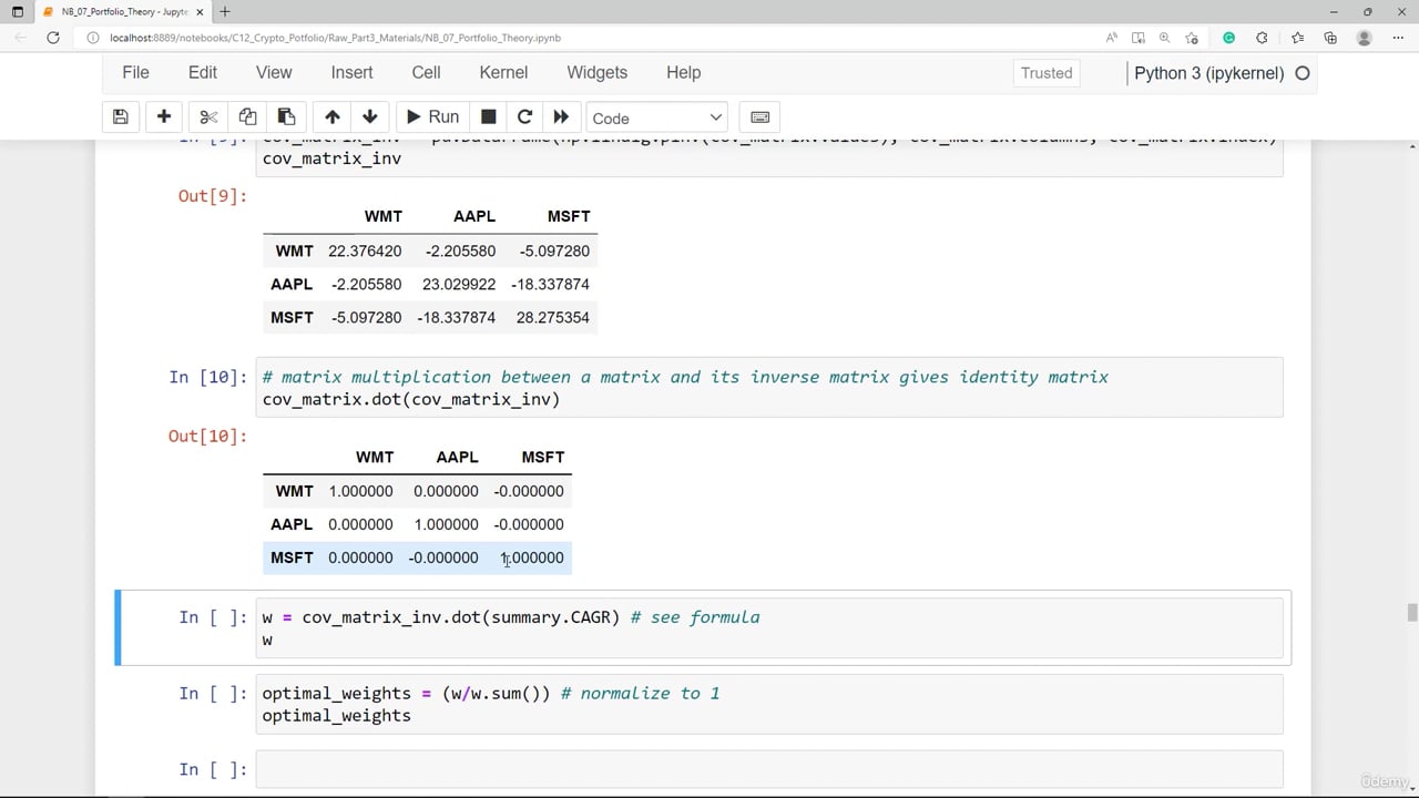 12. Forward-looking Optimization on Vimeo