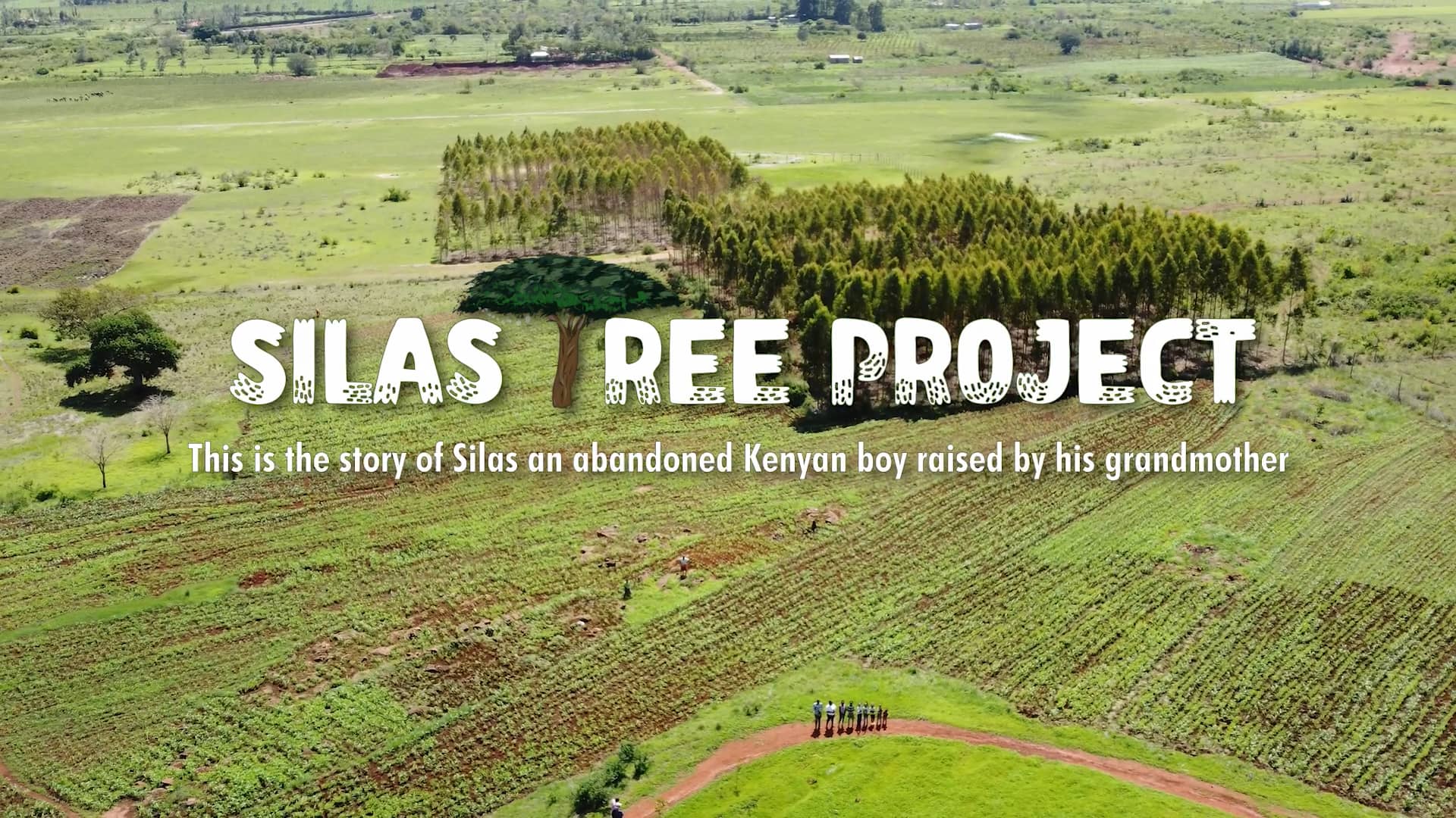 Silas Tree Project on Vimeo