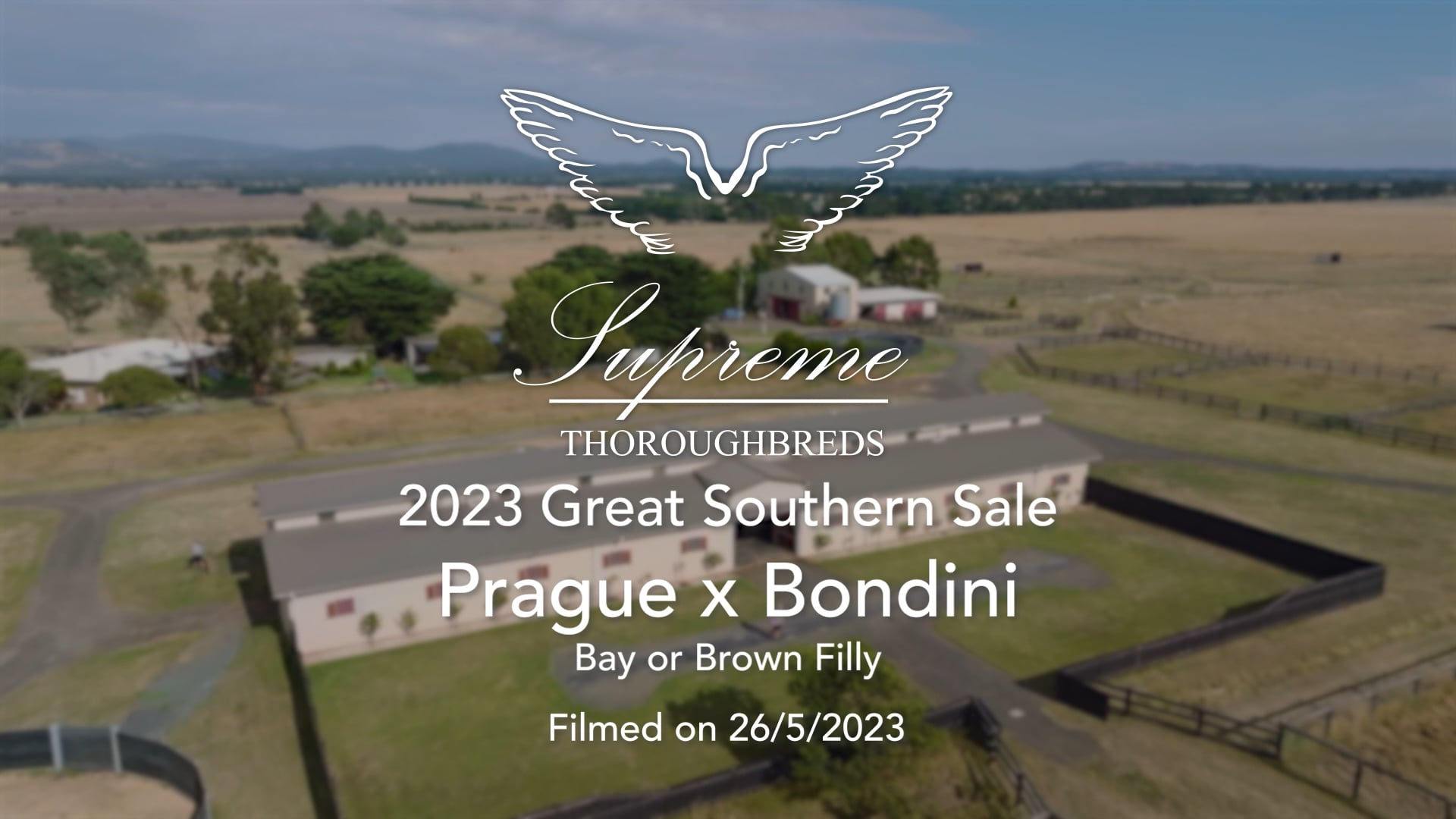 Lot 126 - Prague x Bondini on Vimeo