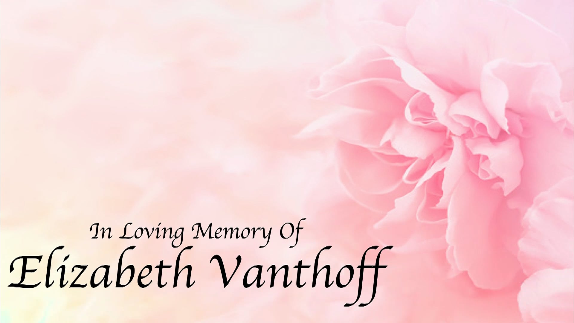 Elizabeth Vanthoff 29.05.2023 on Vimeo