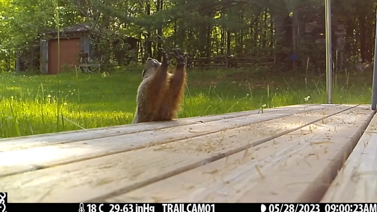 Fred's 8th inning stretch on Vimeo