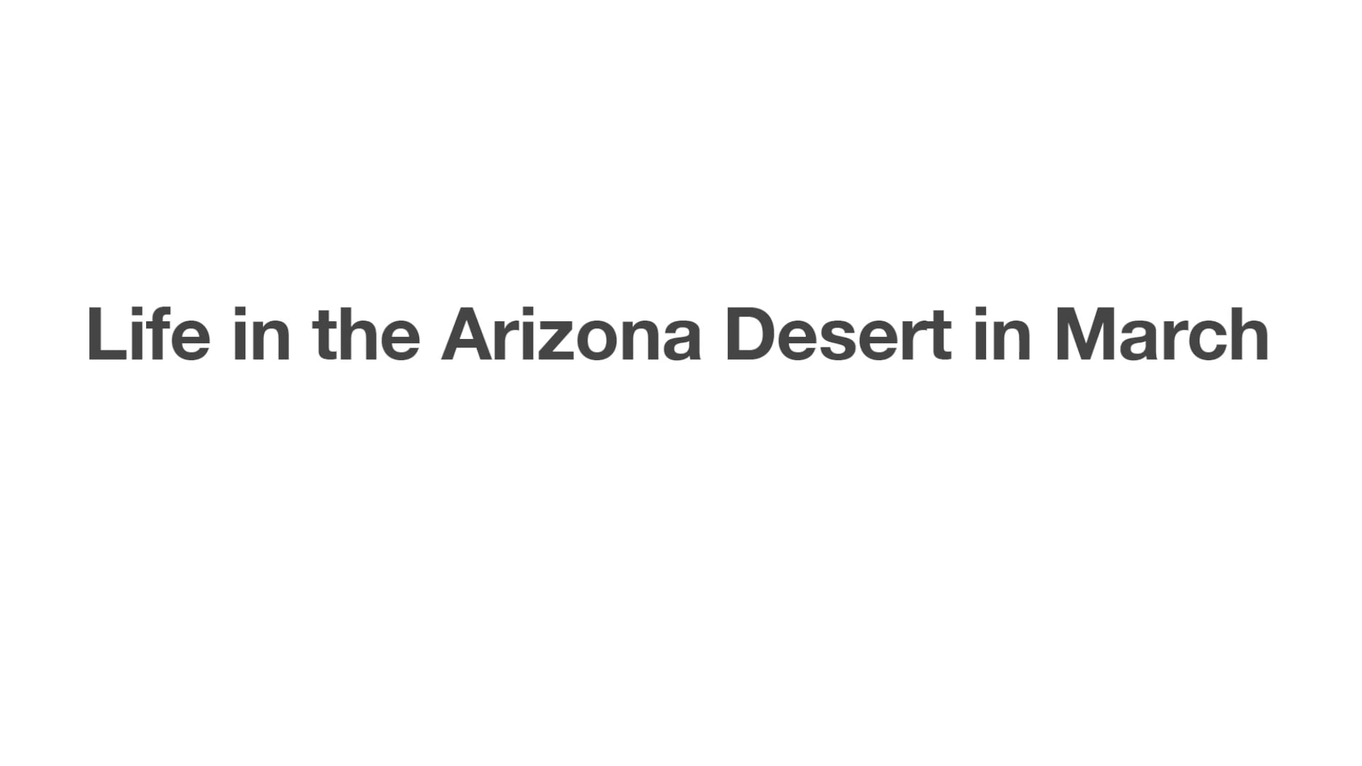 Life in the Arizona Desert in March on Vimeo