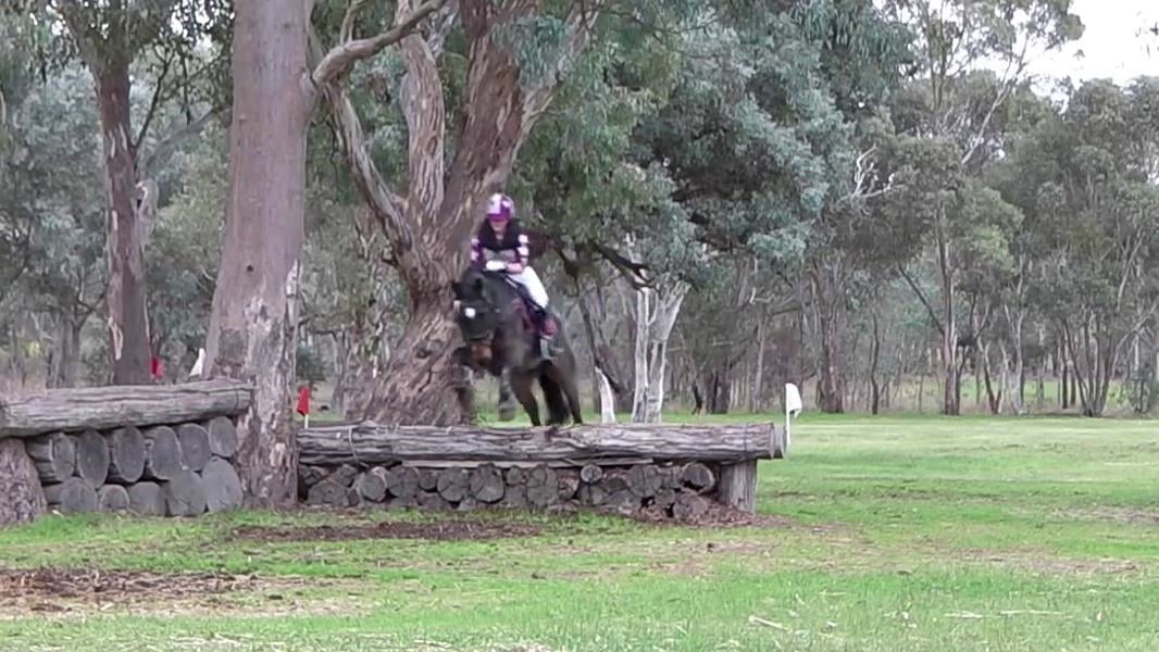 Camille Mason riding FHF STORMIN NORMAN 171 EvA80 Albury Wodonga Horse ...
