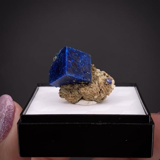 Boleite - SCH23-06 - Amelia Mine - Mexico Mineral Specimen