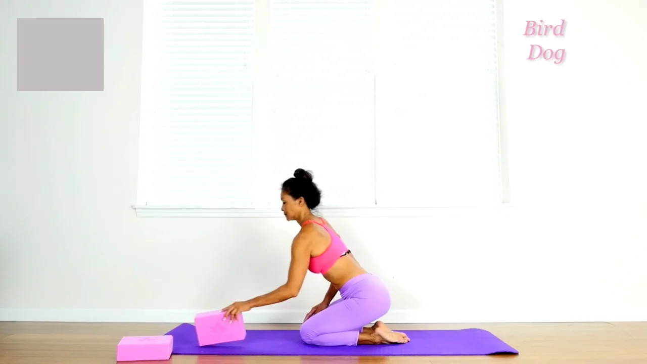 Bird Dog Pose on Vimeo