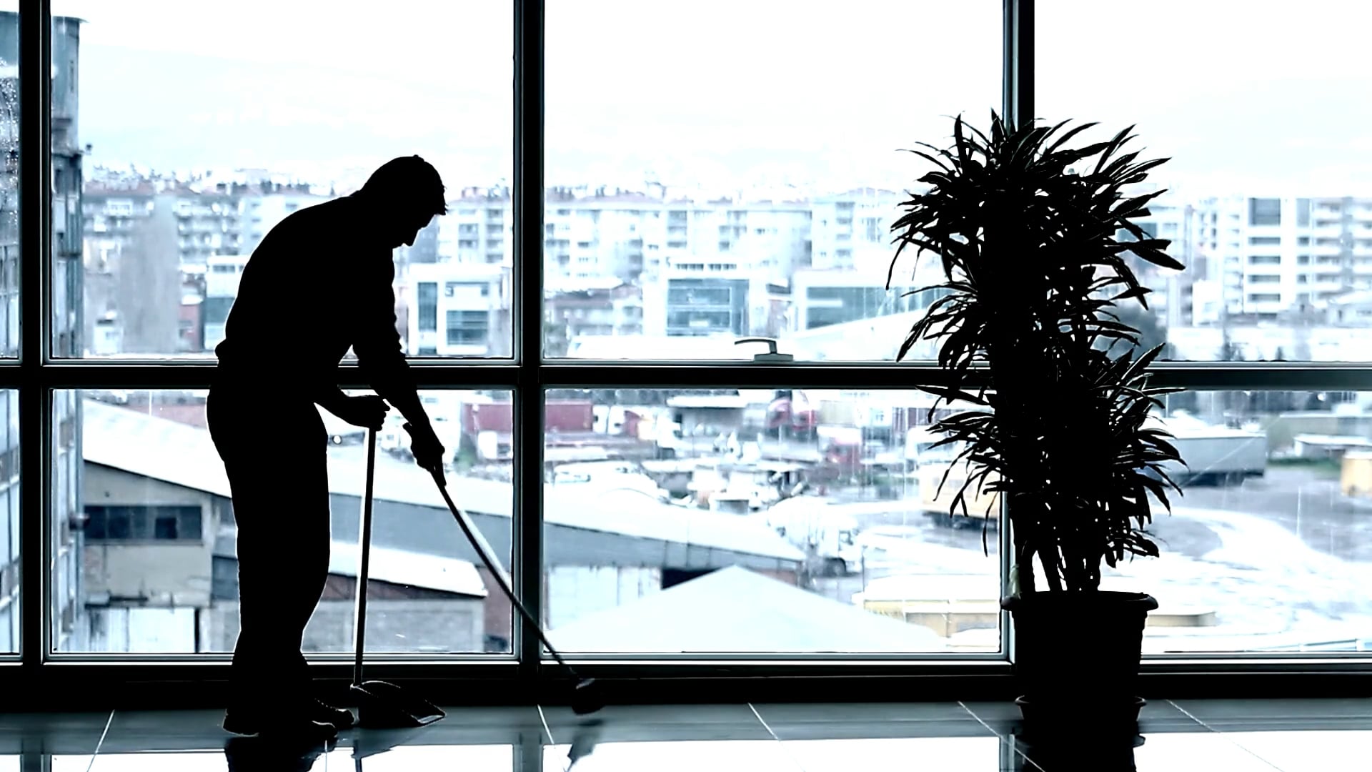 Limpii - Limpii - Santiago, Región Metropolitana