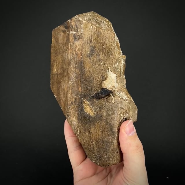 large Scapolite w/ Titanite | Bear Lake diggings, Haliburton Co ...