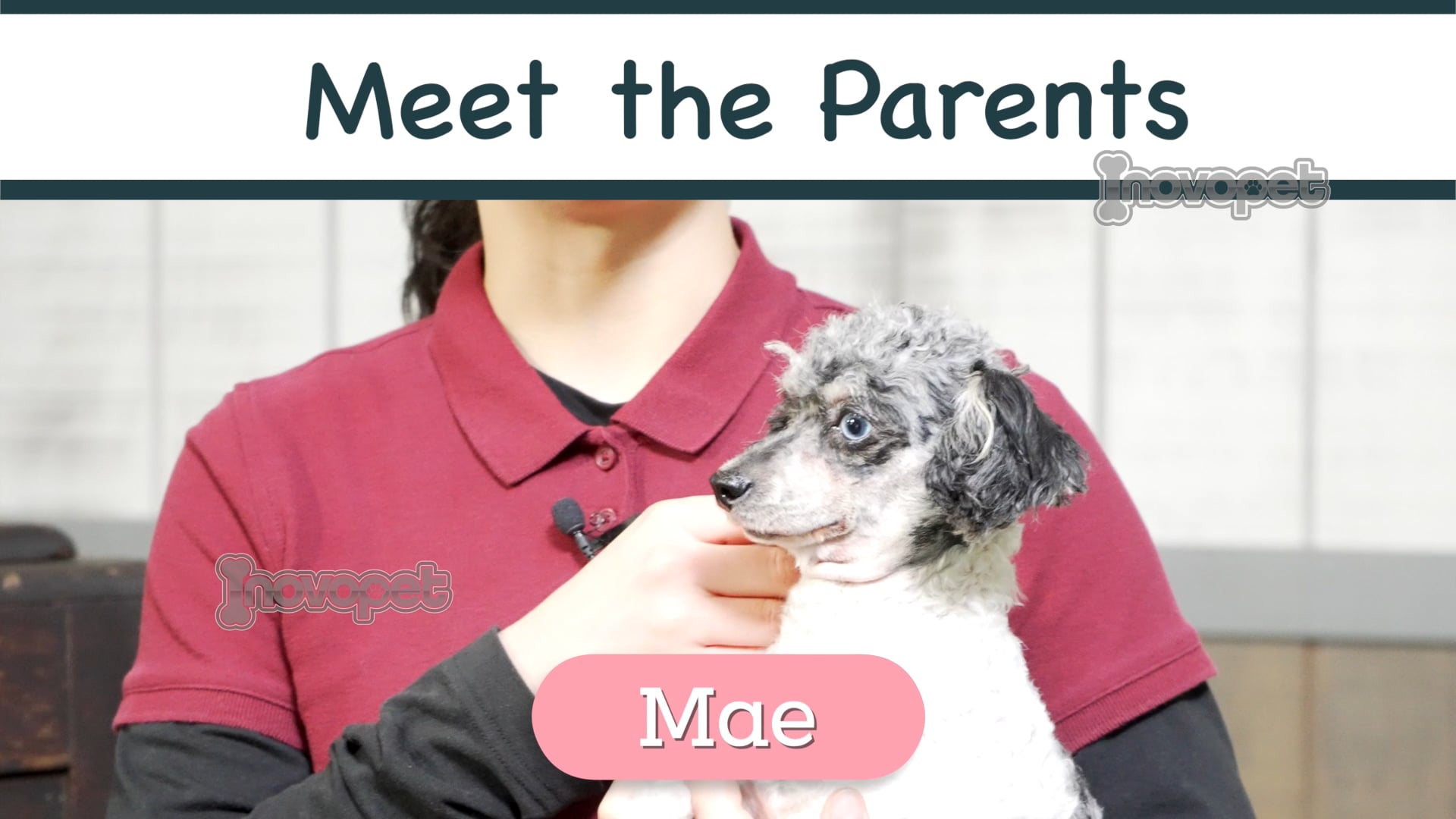 46_Pine Creek_Mae_PR23841706 on Vimeo