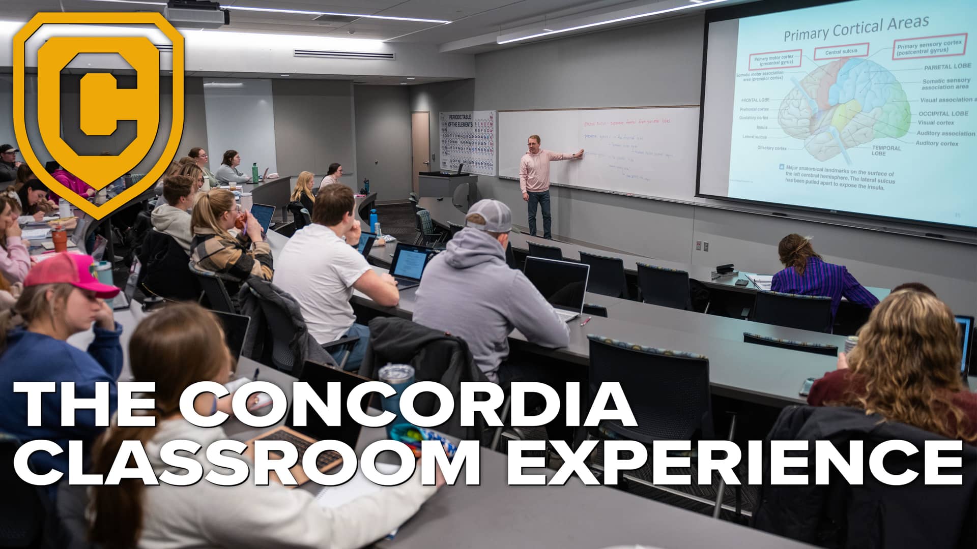 The Concordia Classroom Experience on Vimeo