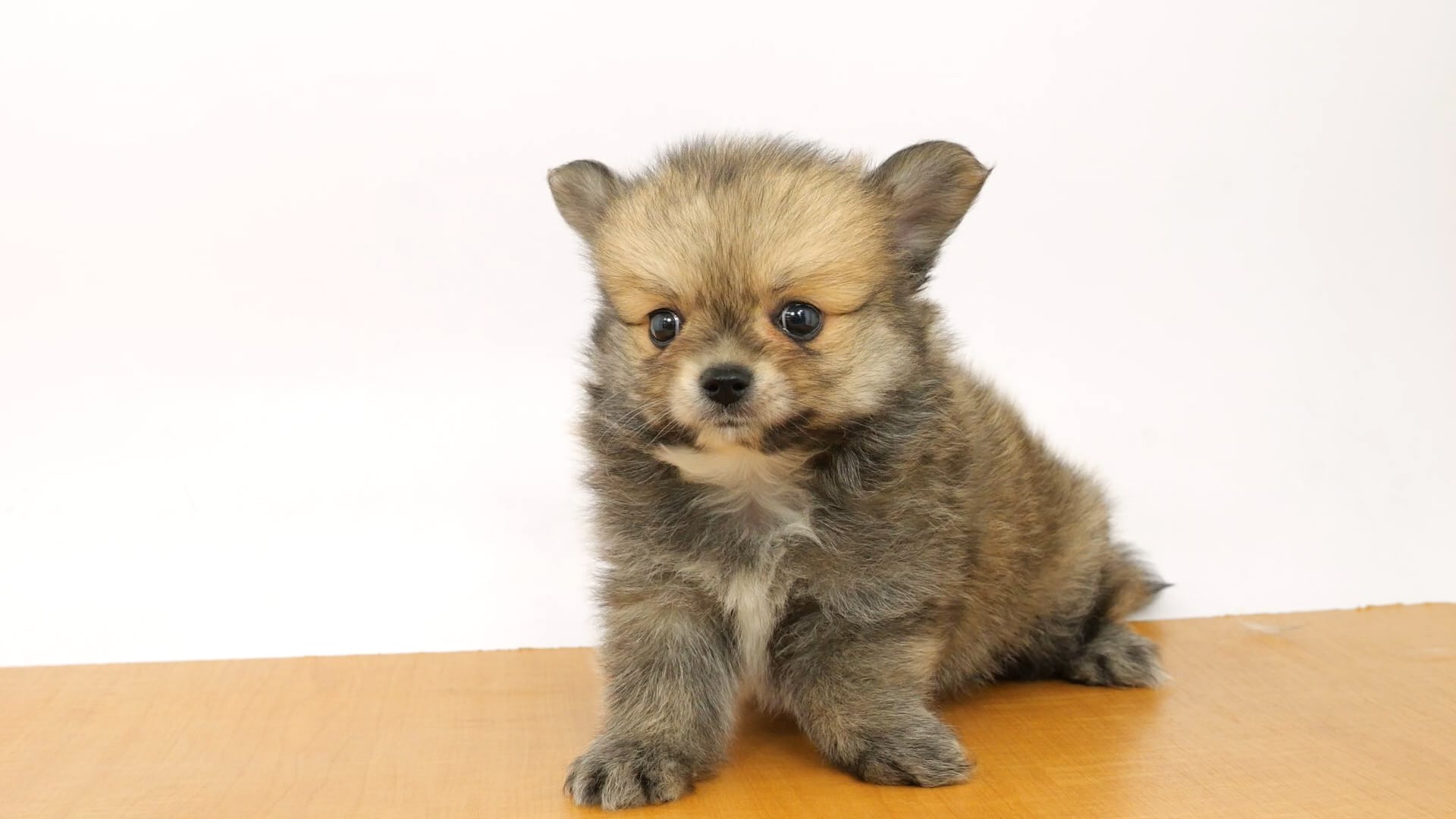 688870_ext_34_0 on Vimeo