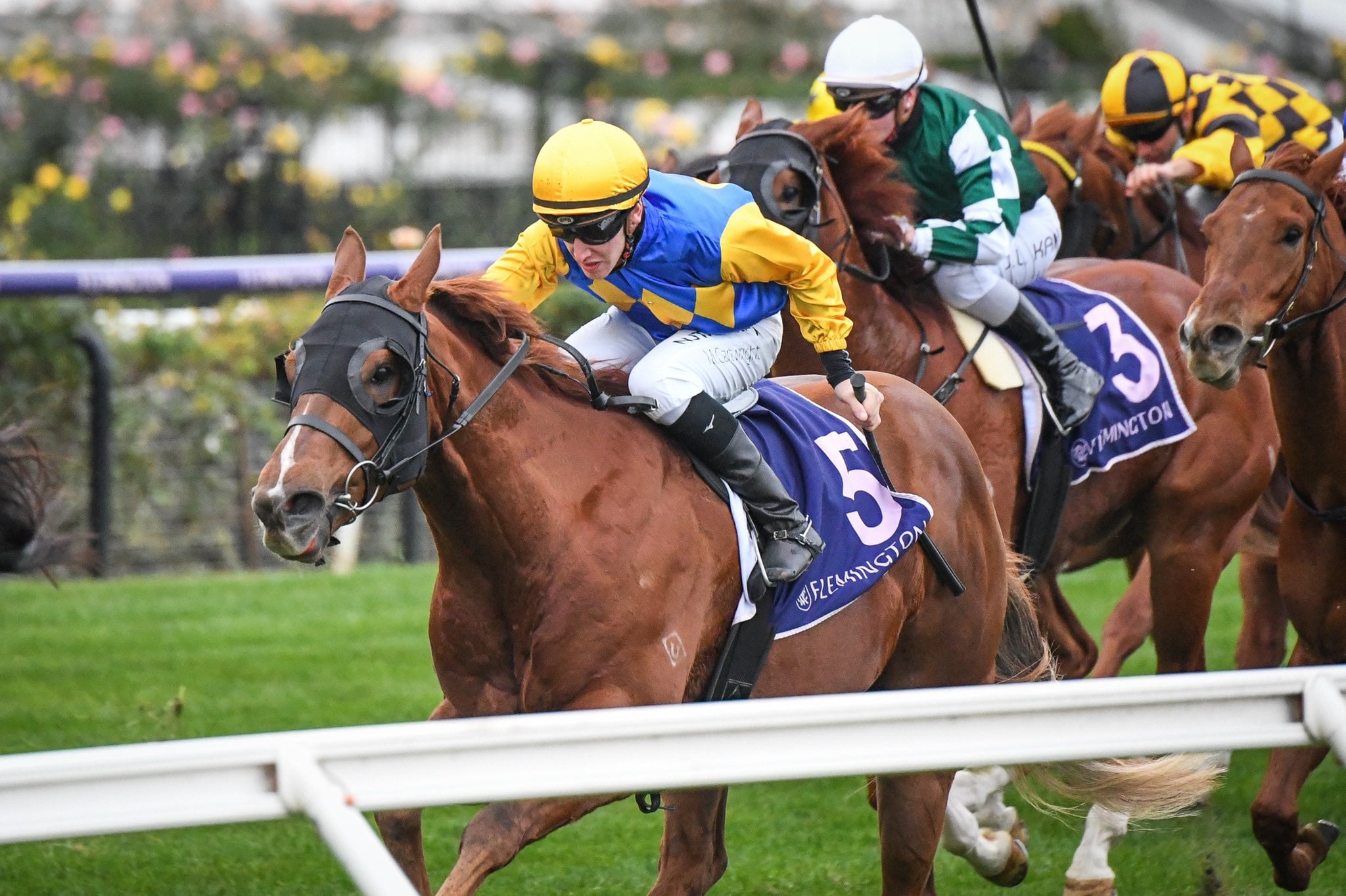 Inglis Digital Horse Of The Year - Curran - April 2023 on Vimeo