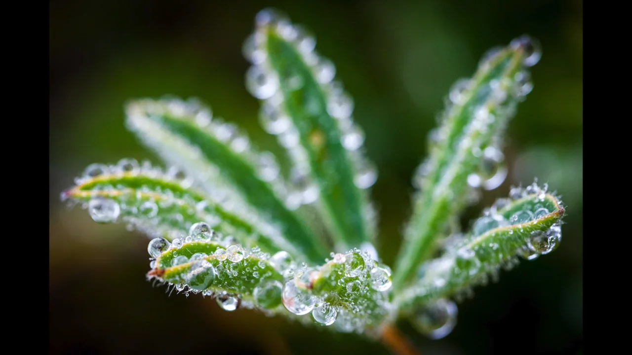 June Creative Challenge Info on Vimeo