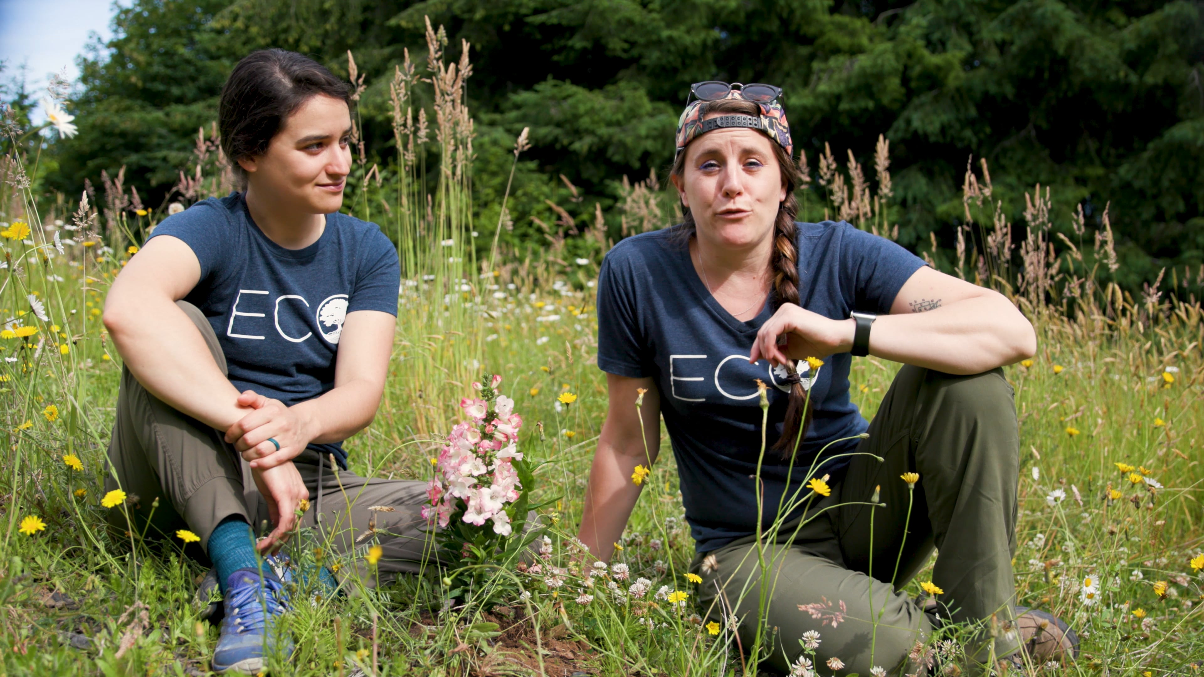 Watch Pollinators Online | Vimeo On Demand on Vimeo